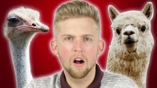 People Try The World's Weirdest Jerky