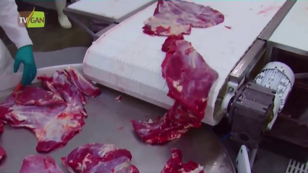 Uso de EPP en establecimientos de Alimentos y Bebidas