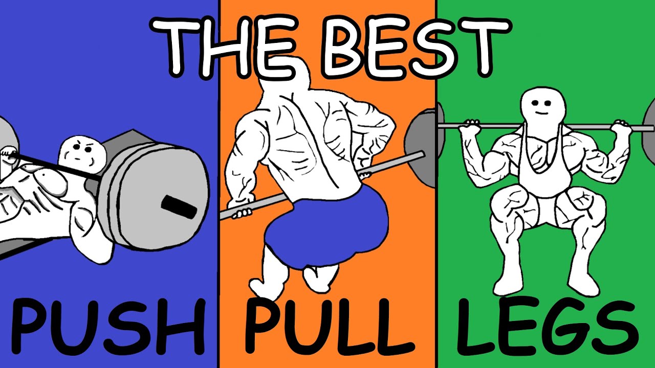 Understanding the Push Pull Legs Split: A Comprehensive Guide | Galaxy.ai