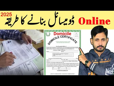 How to Apply for Domicile Certificate Online in Punjab Pakistan, Domicile Certificate Kaise Banaye