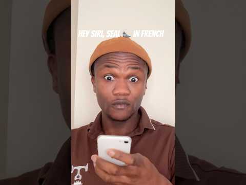 How do you say Seal in French #shorts #funny #comedy #fypviralシ #fyp #tiktok #trend #trending