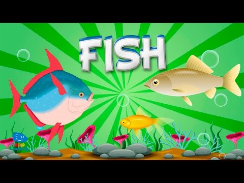 Learn All About Fish deep listening:…: English ESL video lessons
