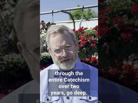 Why the Catechism is important #catholic #catechism