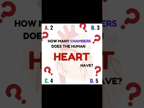 How many chambers does the human heart have? #heart #heartstructure #humananatomy #survey
