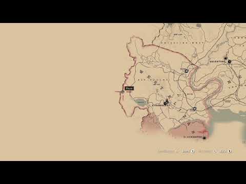 Red Dead Redemption 2- Secret And Rare Items I found In My 10 hour Stream On Twitch