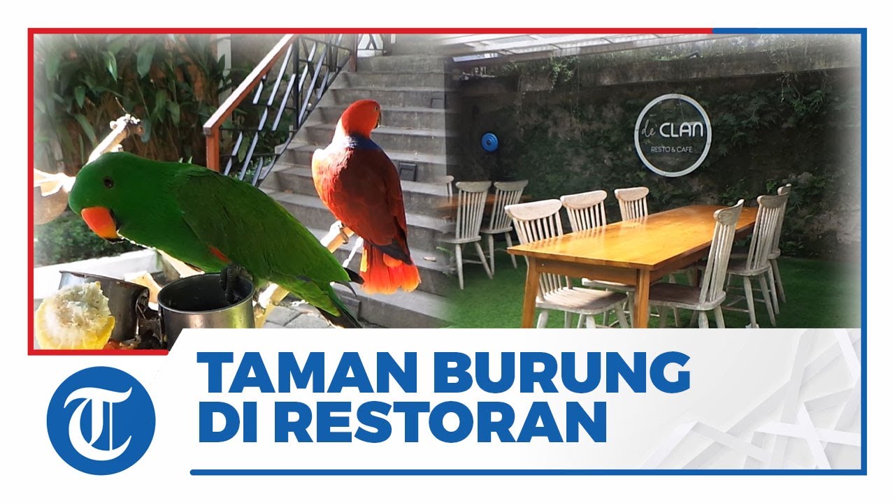 Bermain dengan Burung Nuri di De'Clan Cafe & Resto, Restoran yang ...