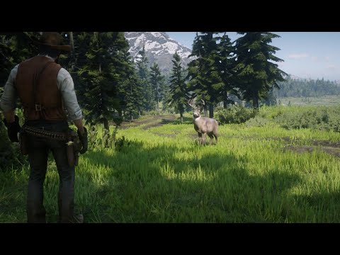Steam Community :: Video :: The nature of RDR2
