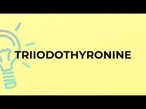What is the meaning of the word TRIIODOTHYRONINE?