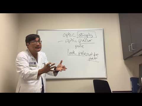 Optic Nerve Atrophy vs Optic Nerve Pallor