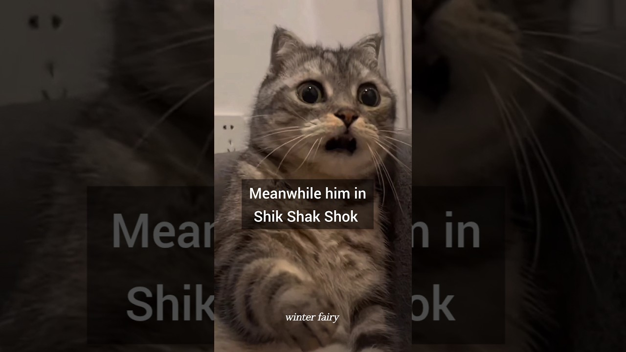 📚The Forbidden Chase To Soar 🖊️@creations_tr on Wattpad[Ongoing] #fictionalbooks #viralreels