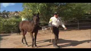 Parks Recreation Director Overview | What is a parks recreation ...