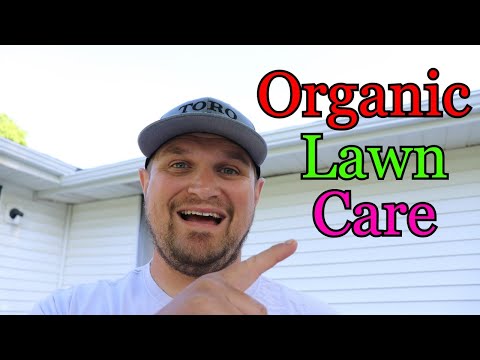 Organic Lawn Care [Is It Worth It?]