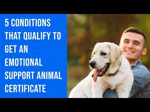Emotional Support Dog Certificate | myesadoctor.com