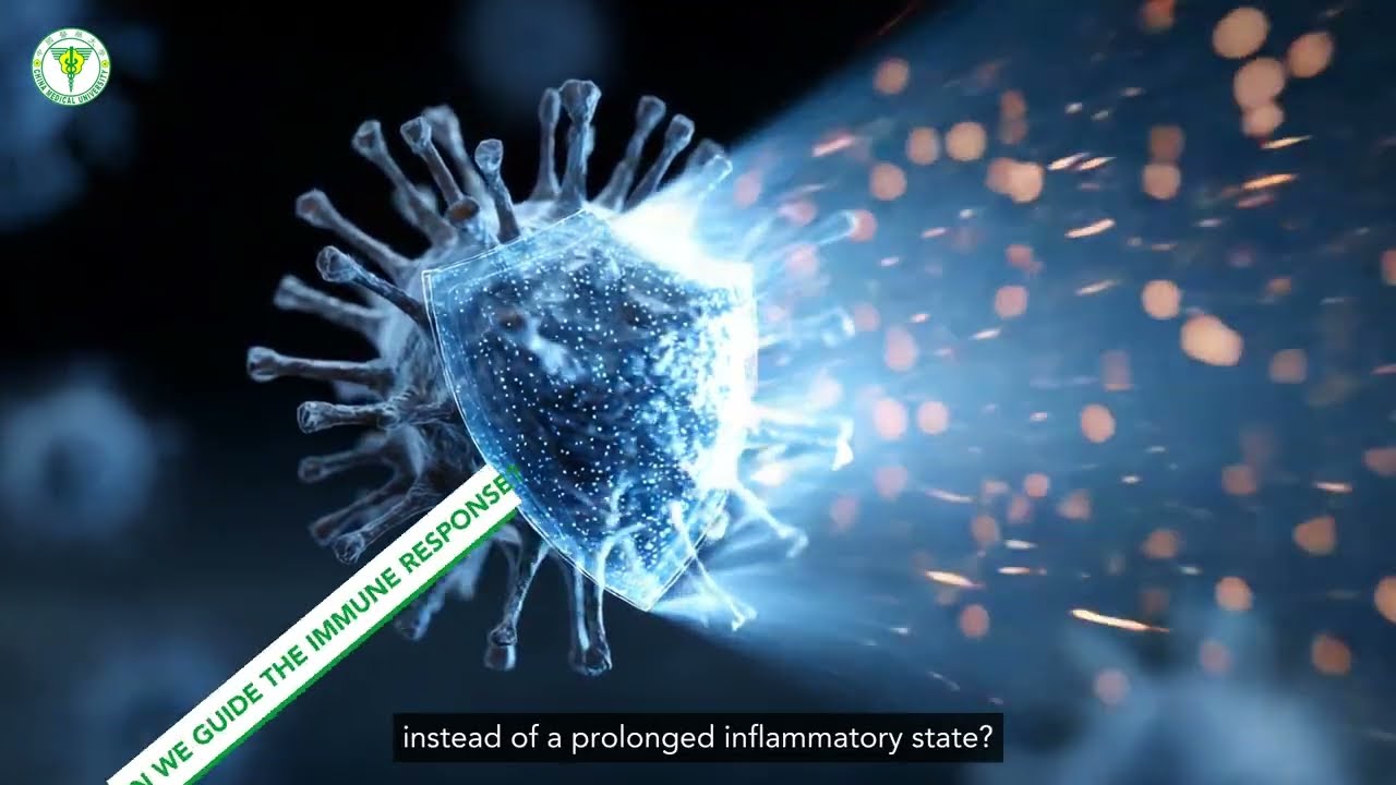 EP08 | Engineered Hydrogel Enhances Diabetic Wound Healing by Modulating Immune Response