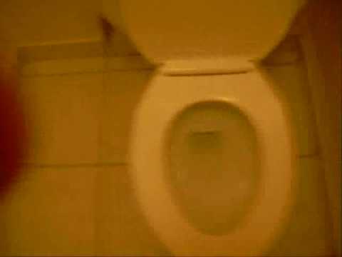 The Canadian Toilet