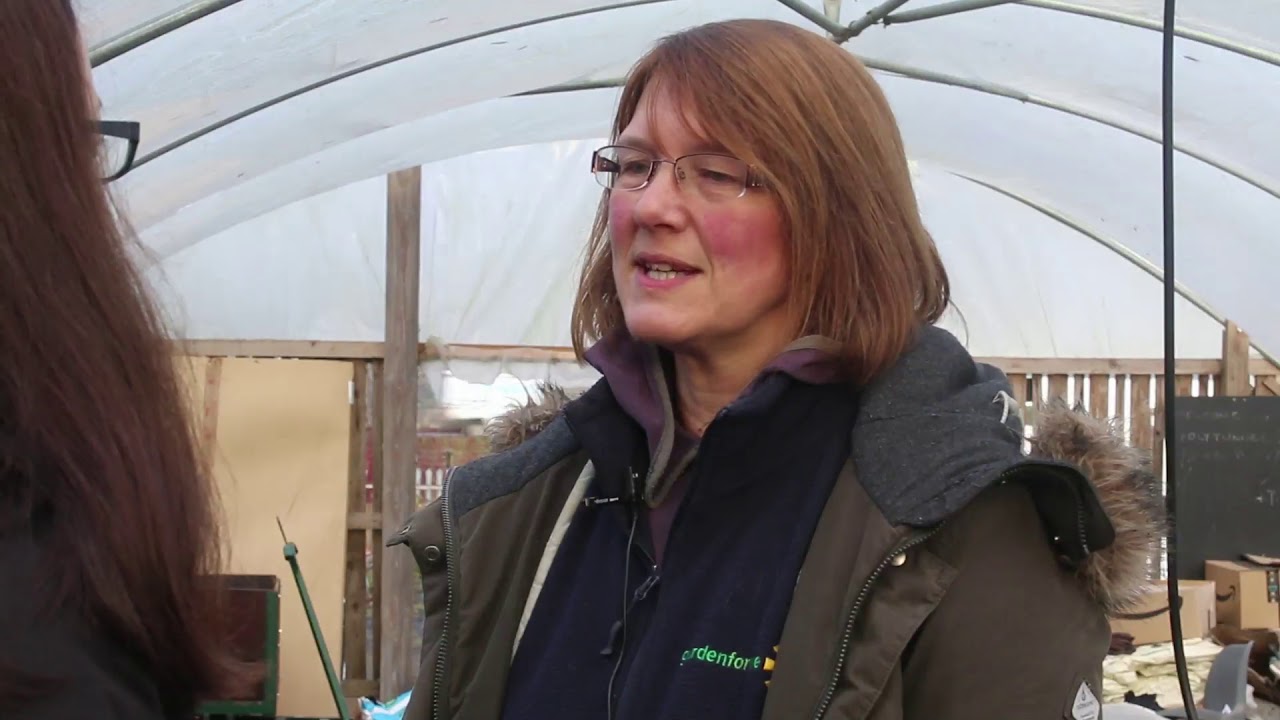 Why we involve volunteers (1)