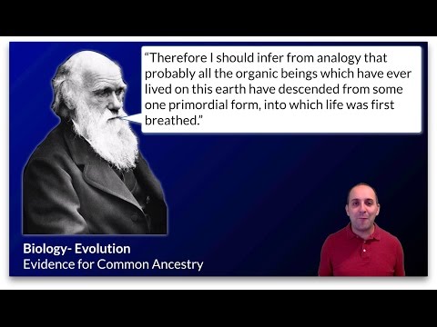 K-Bio Evolution 6: Evidence of Common Ancestry