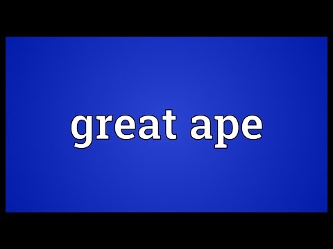 Great ape Meaning
