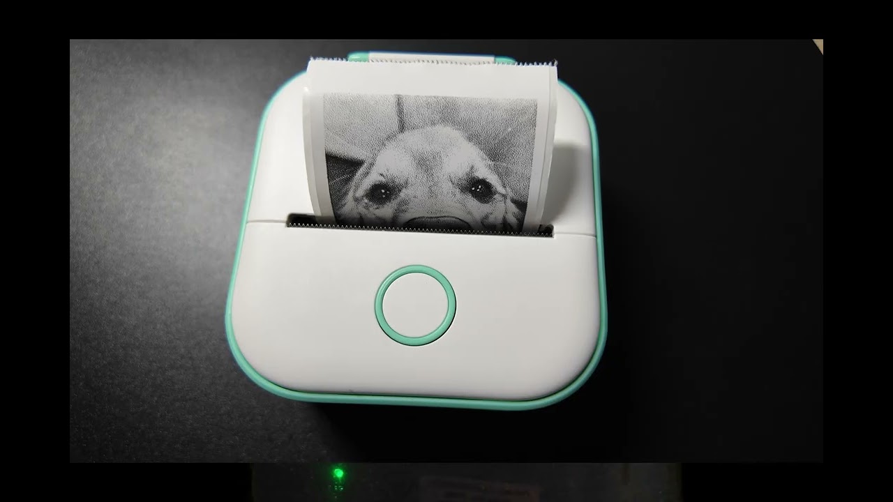 Print Pod Printer- worth the price?