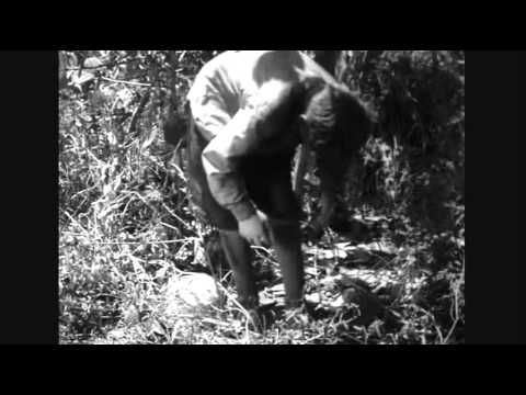 Lord Of The Flies (1963) Dance and Simon's death (alternate music)