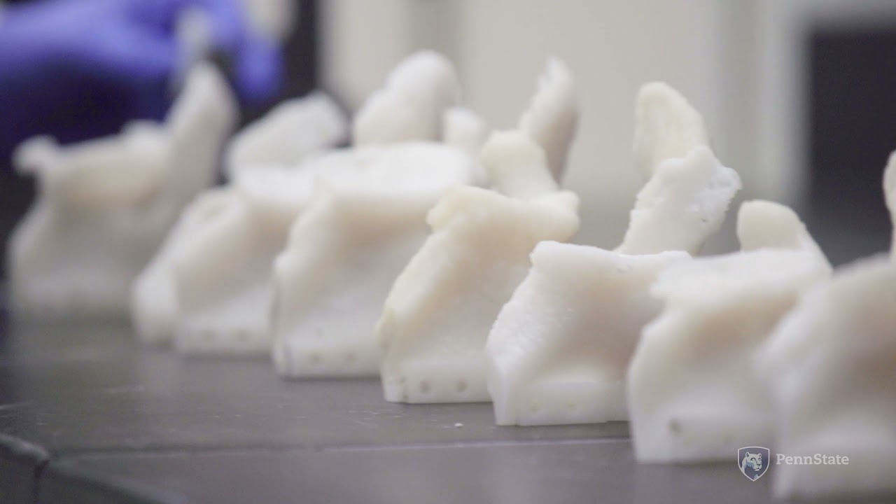 Implantable Devices: The Penn State Center for Biodevices