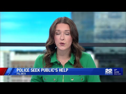 Palmer police seek driver in Tesla pepper spray incident