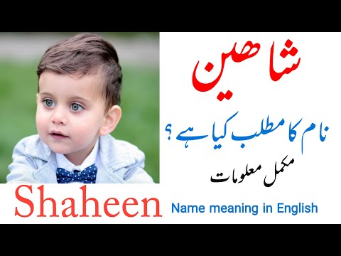 Shaheen name meaning in urdu | Muslim boys beautiful name | Islamic boy name