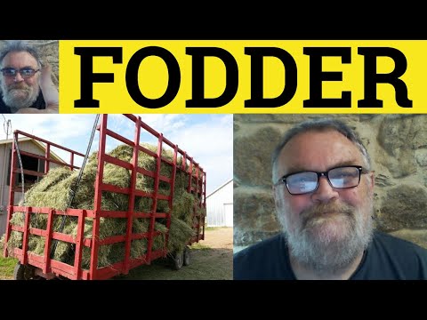 🔵 Fodder Meaning - Fodder Examples - Cannon Fodder Defined - GRE Vocabulary