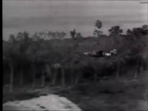 B25's on Tree Top Level Para Demolition Raid Near Sedate Airstrip Celebes Island WW2 Footage