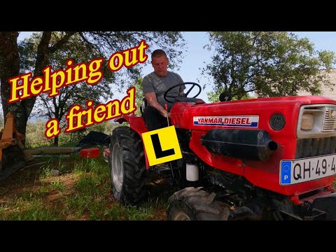 Good Deeds bring good luck as we found a classic car rally on our way home from helping Pete