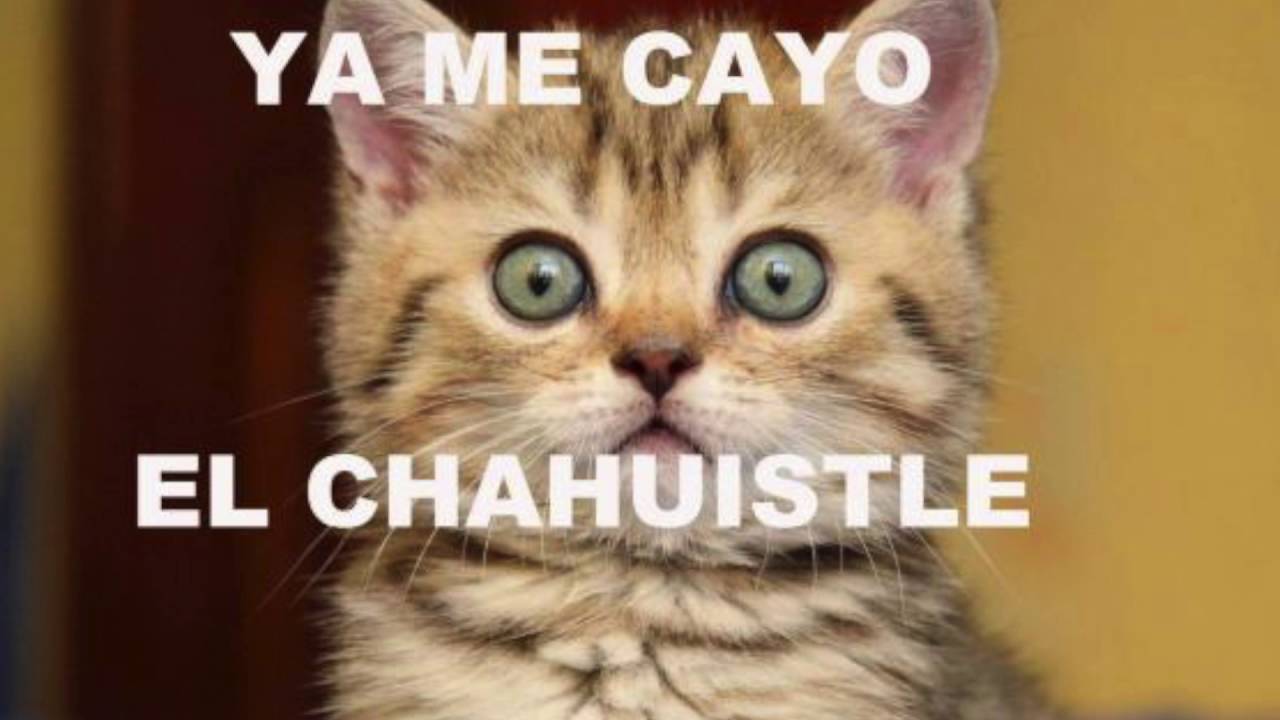 Frases de la Abuela - Algarabía