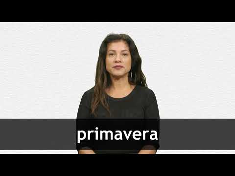 English Translation of “PRIMAVERA” | Collins Spanish-English Dictionary
