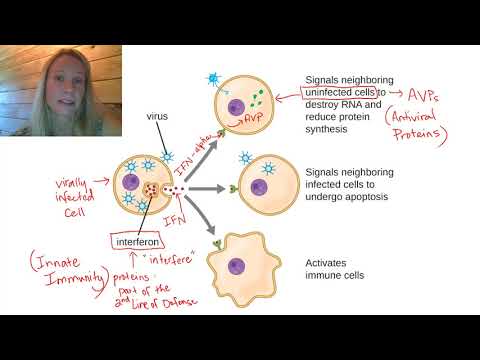 Treating Viral Infections