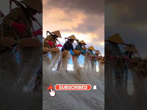 Comradery and Bach Flower Remedy #shorts#