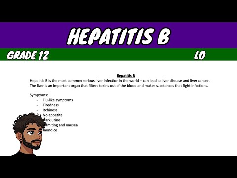 Hepatitis B | Grade 12 LO