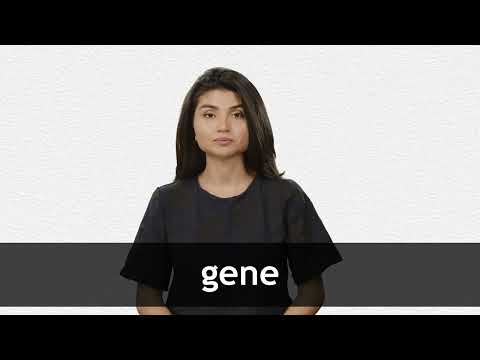 GENE - English pronunciations | Collins