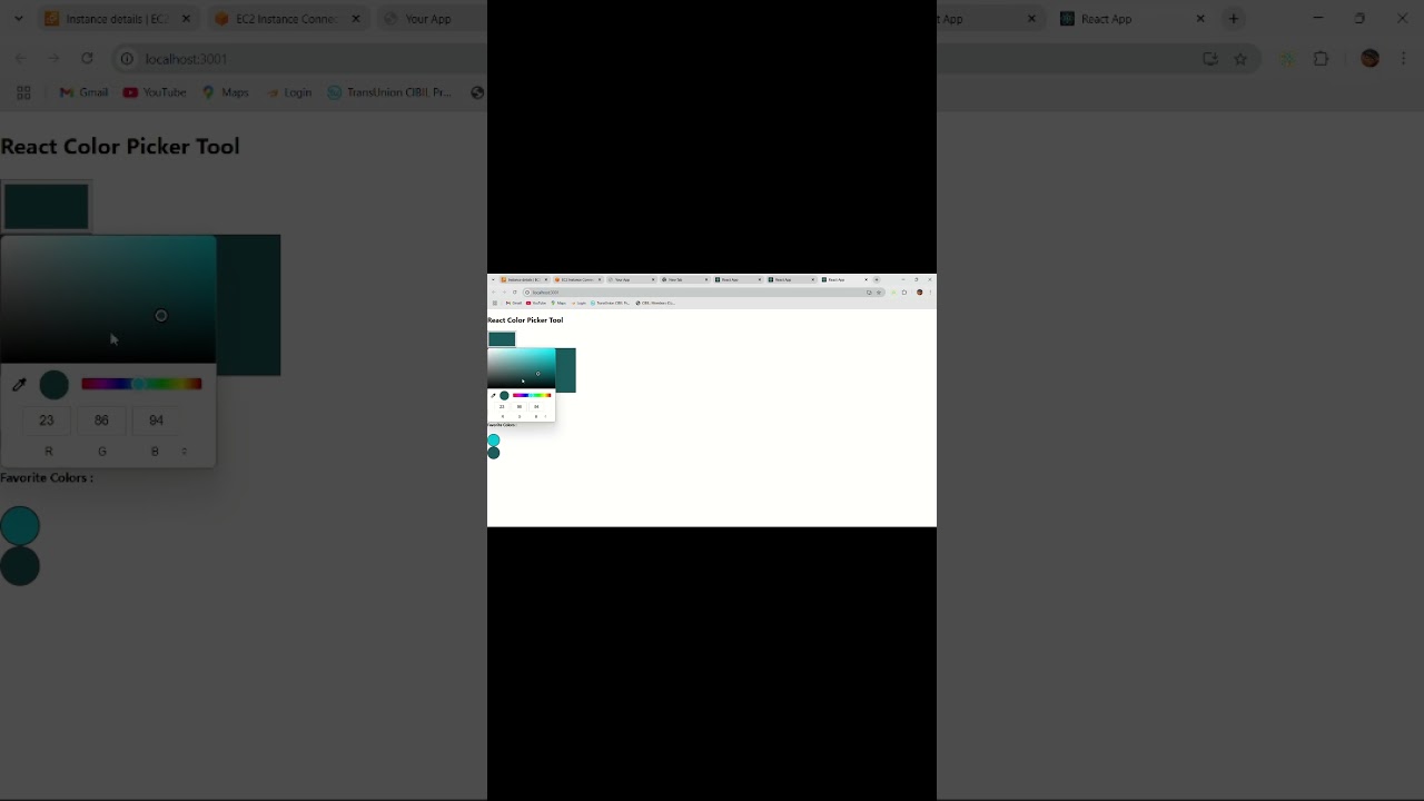 Build a React Color Picker Tool in 30 Seconds! | React Beginner Project Level 3