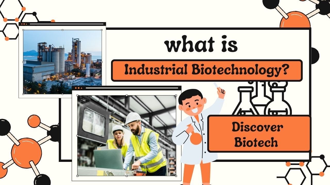 What is industrial biotechnology? Its application and scope | An overview