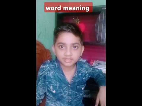 meaning of the following words in Bangla. #daliyvlog #minivlog #foryou #study