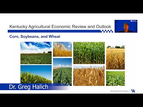 2020 Economic Review and Outlook | Corn, Soybeans, and Wheat