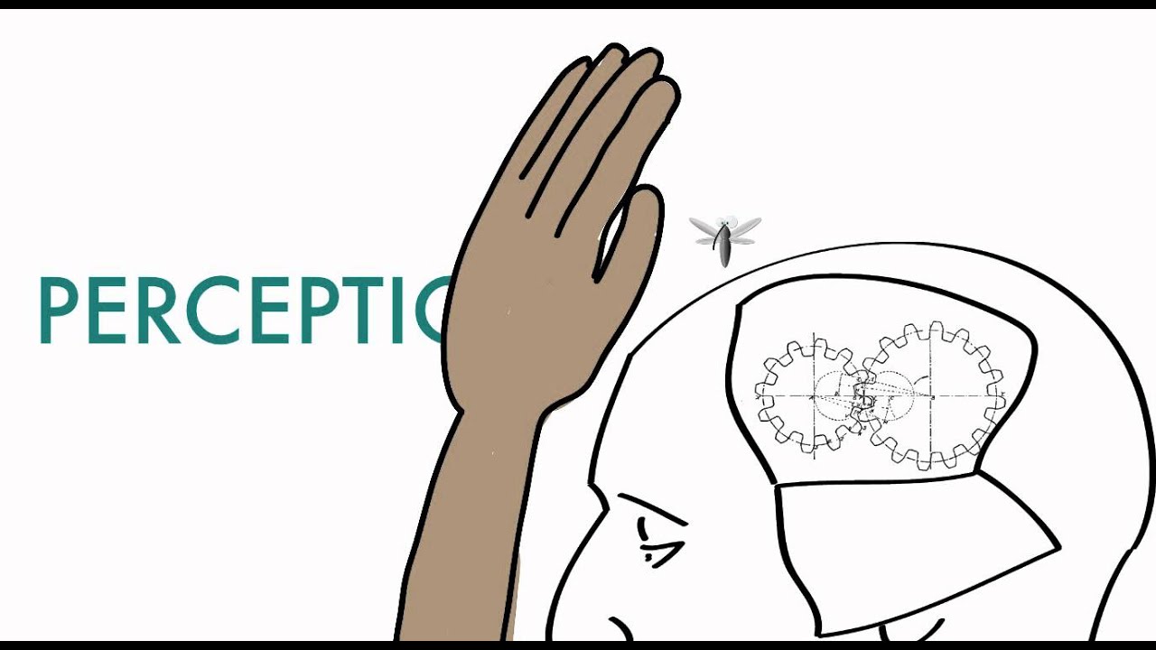 Sensation & Perception: Top-Down & Bottom-Up Processing