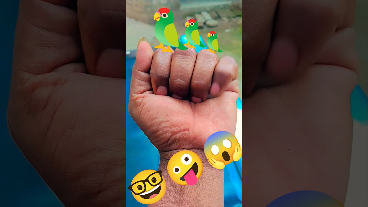 #samer #comedy🦜🦜🦜🤓🤪😱 #same #funny #viralcomedy #viralshorts