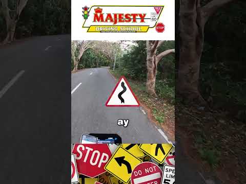 Winding Road Sign (Explained)