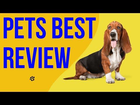 PET INSURANCE Review: Cost, Coverage, Best Providers 🐶Pets Best Review