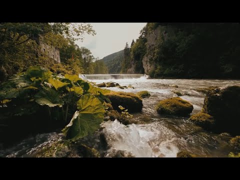 The River of God - Get In the Flow