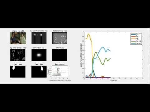 Lasso: learning saliency from eye-tracking data