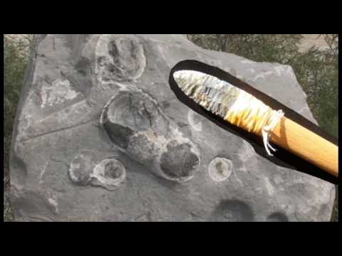 Geology of Michigan's Thumb (Cranbrook Institute of Science)