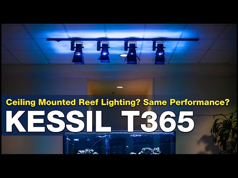 How high can you mount your reef lights? Can 4-feet perform as well as 8-inches?