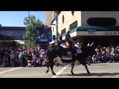 CALGARY STAMPEDE PARADE 2013 CLIP-2