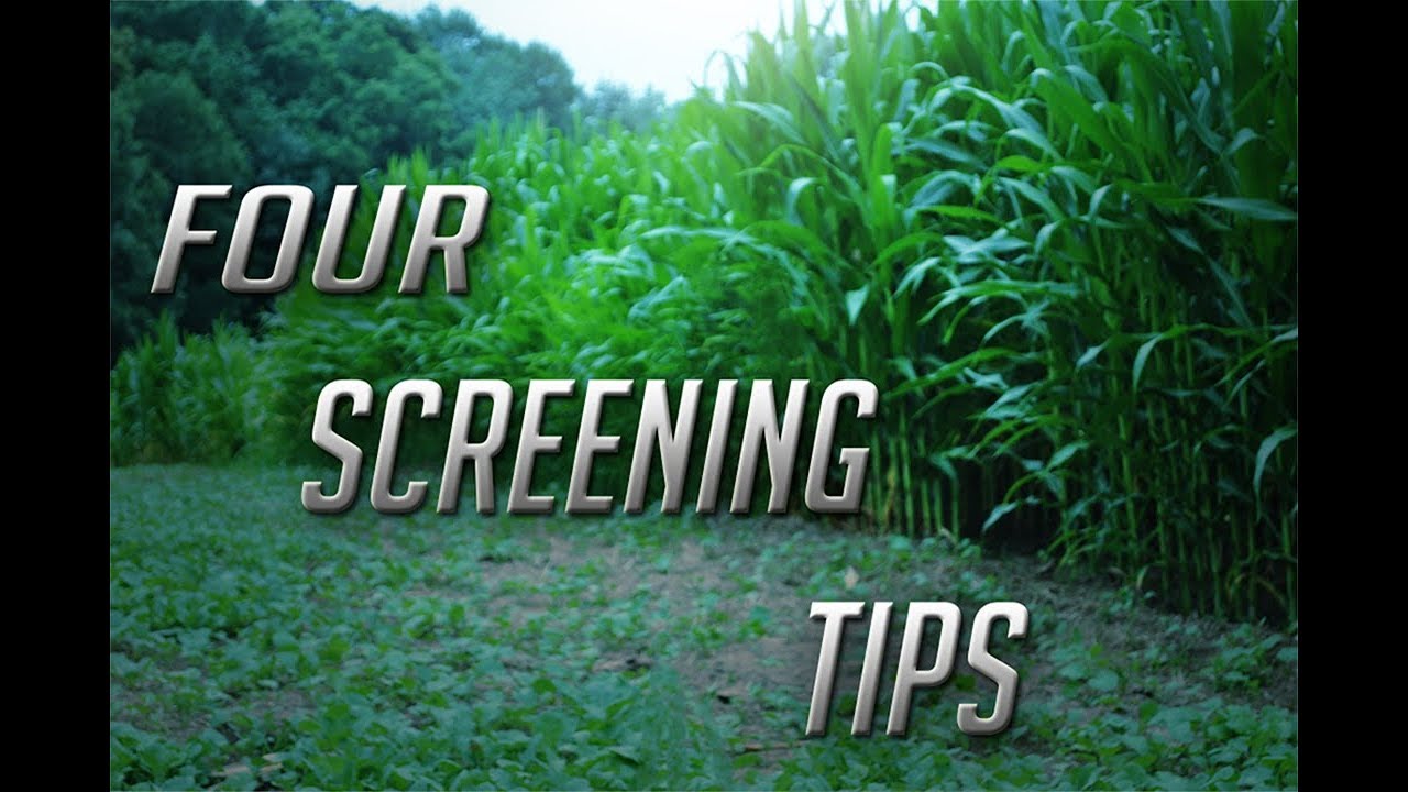 Four Food Plot Screening Tips